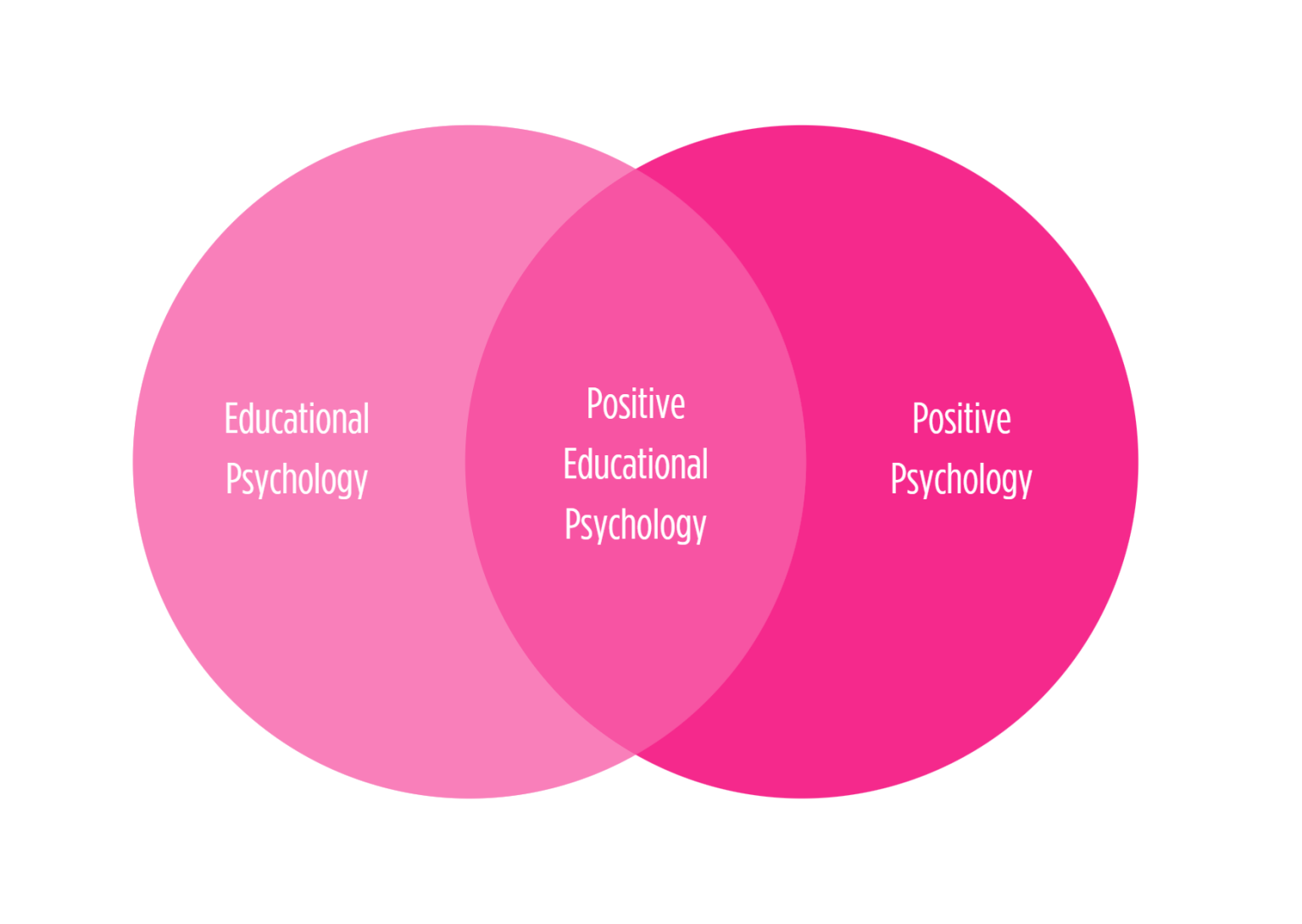 Educational Psychology Services North Wales | Flying Colours EP